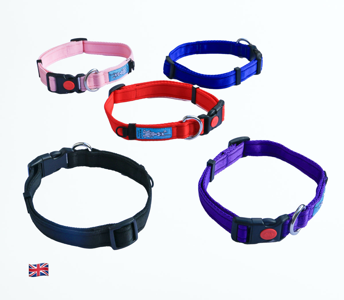 Collars – Big Dog Styles